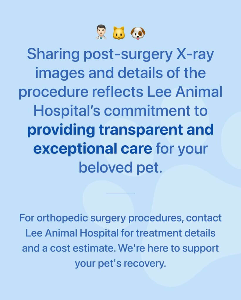 Corkscrew Tail Correction – Anonymous - Lee Animal Hospital